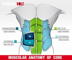 Washboard Abs: The Ultimate Guide | MuscleChemistry