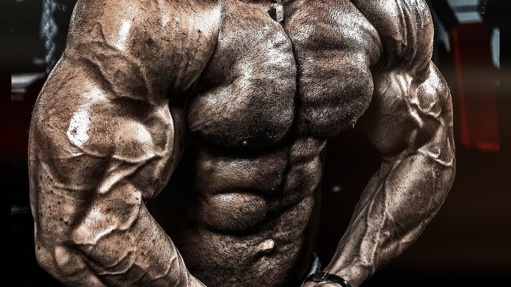 Hormones That Help Your Muscle Growth | MuscleChemistry