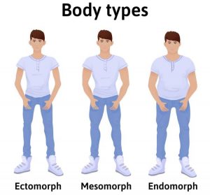 The Ultimate Guide to Male Body Types (Ectomorphs, Mesomorphs, and ...